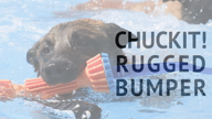 Chuckit Rugged Bumper