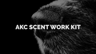 AKC Scent Work Kit